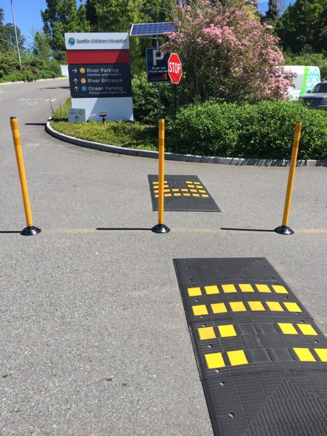 Future-Ready Parking Solutions for Electric Vehicle Infrastructure